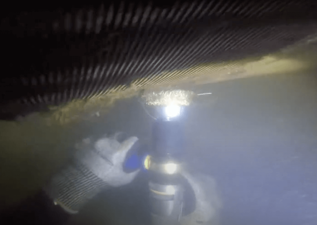 Commercial & Industrial Diving Archives | Wilcox Diving